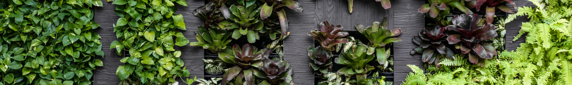 iPac | Green Directory | Investors In The Environment