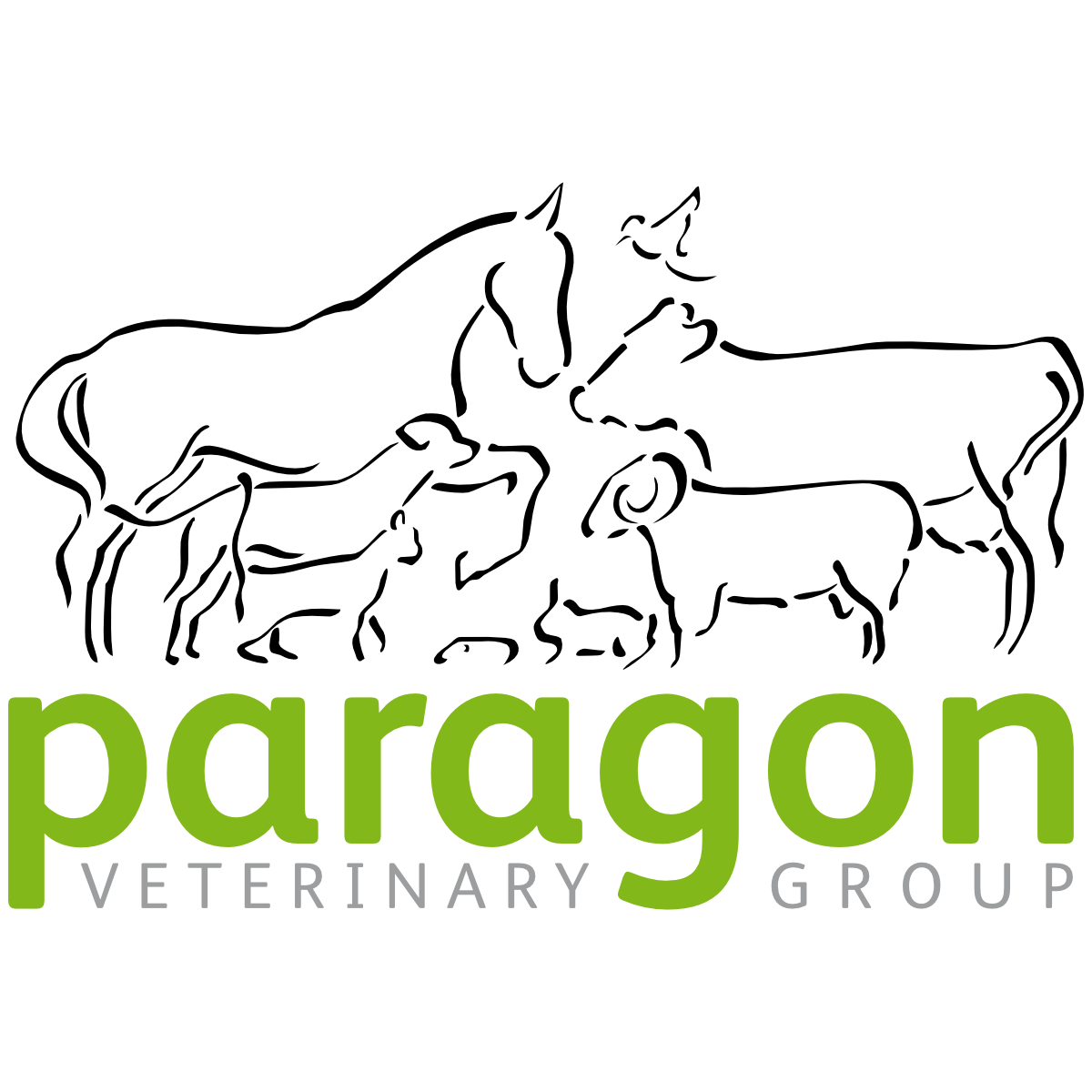 Paragon Veterinary Group | Green Directory | Investors In The Environment