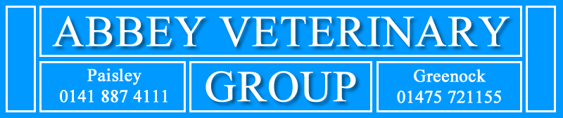 Abbey Veterinary Group | Green Directory | Investors In The Environment