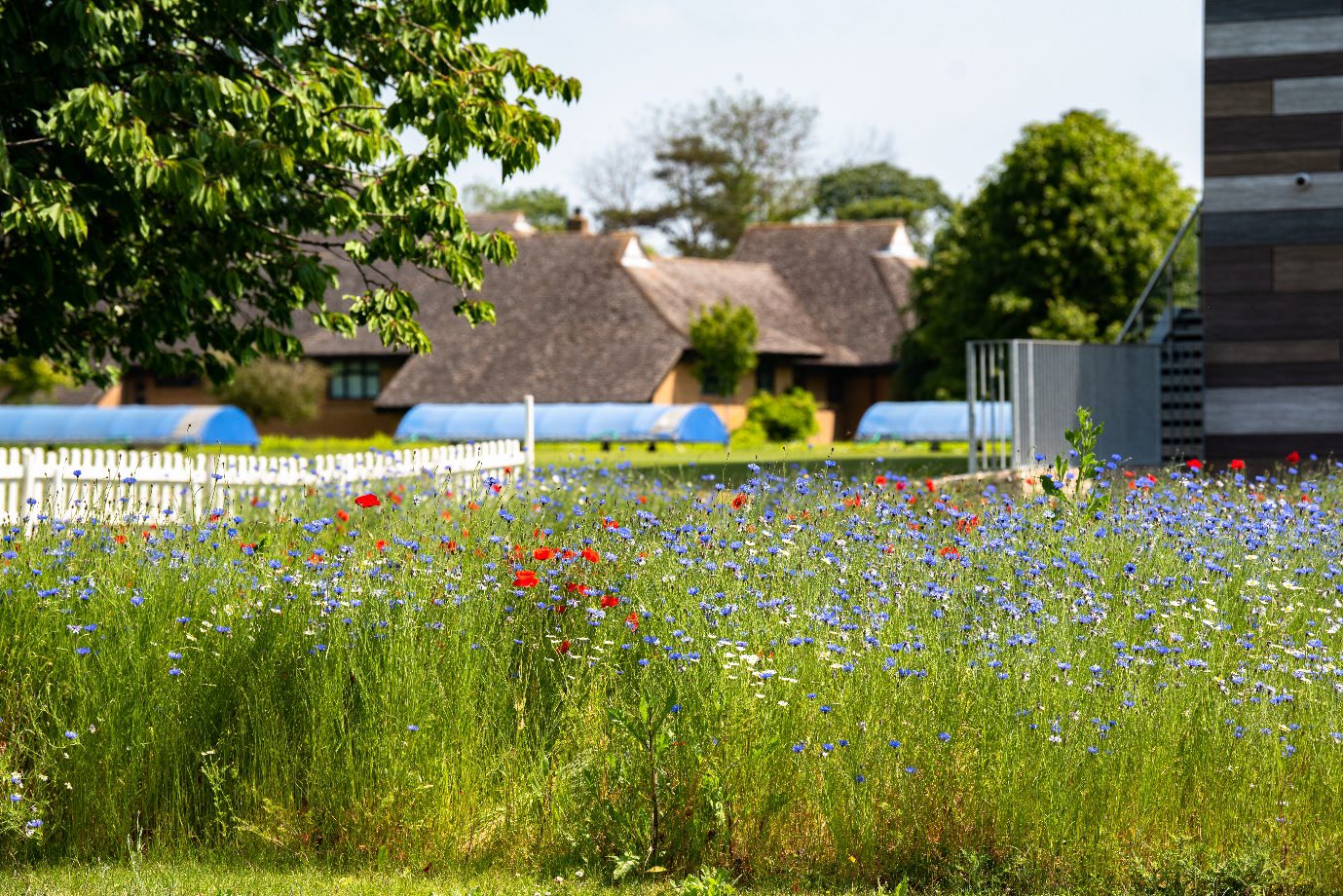 Oundle School: Championing Biodiversity Through Rewilding and ...